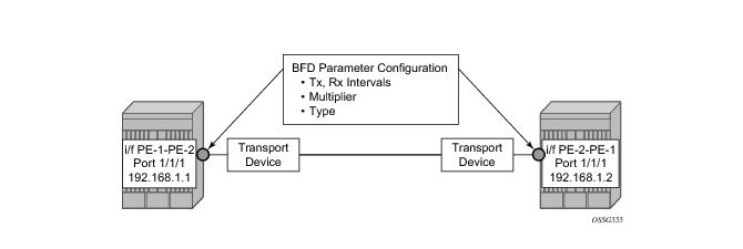 Bi-Directional Forwarding Detection